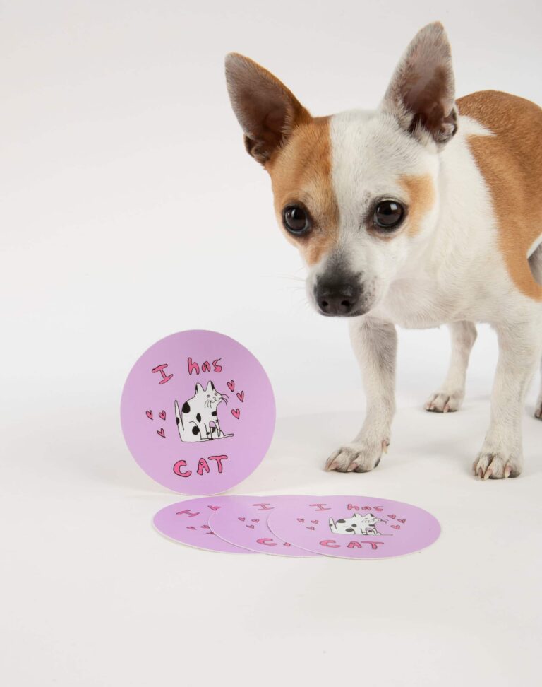 Legit Concerns Sticker Pack - Meow Wolf Shop